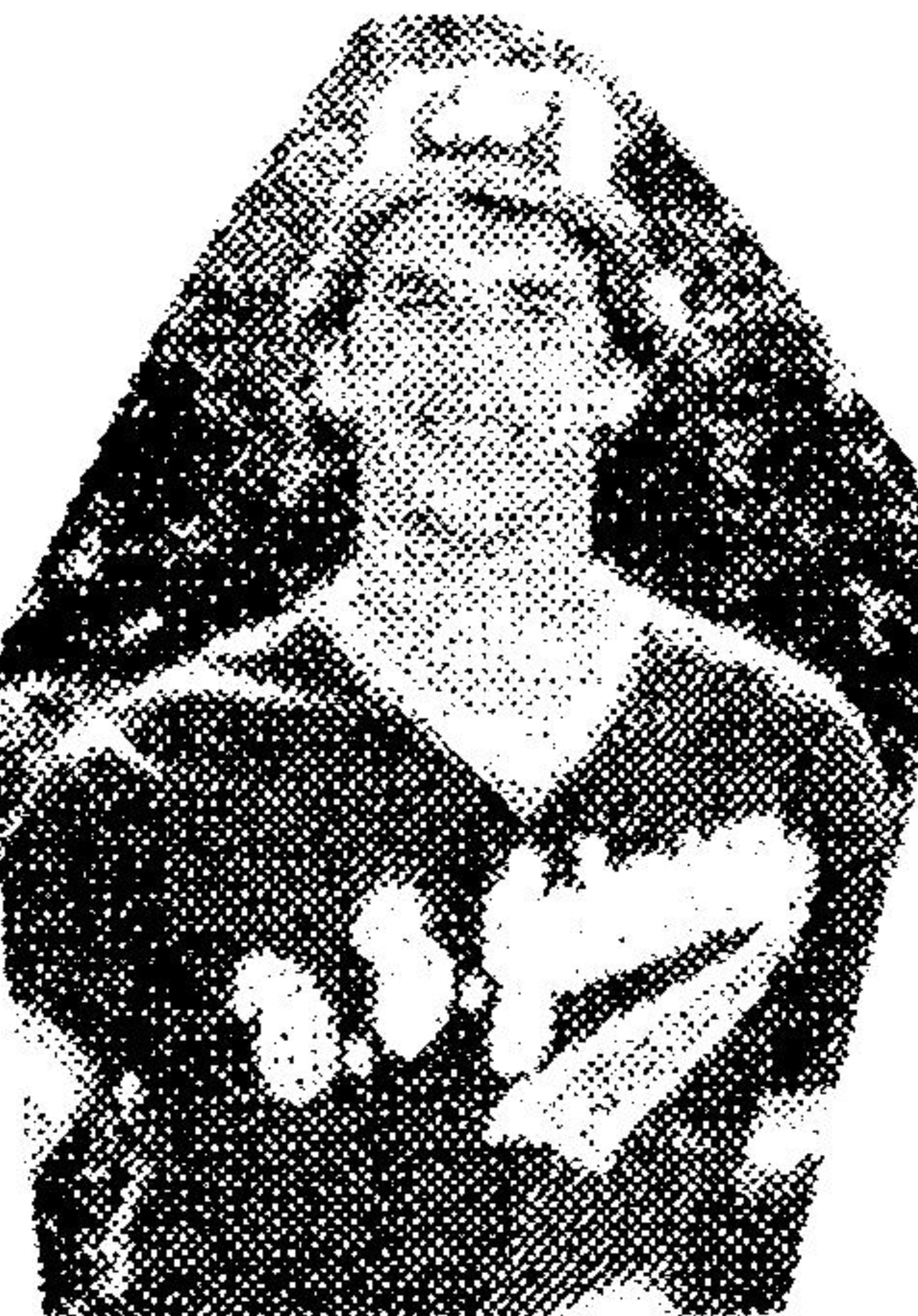 Tom Bierce | GABHOF
